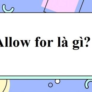 Allow for là gì? Cách sử dụng Allow for trong Tiếng Anh