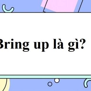 Bring up là gì? Cách sử dụng Bring up trong Tiếng Anh