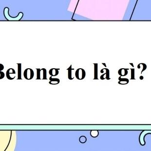 Belong to là gì? Cách sử dụng Belong to trong Tiếng Anh