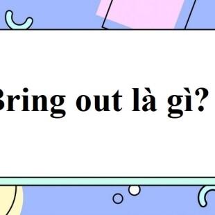 Bring out là gì? Cách sử dụng Bring out trong Tiếng Anh