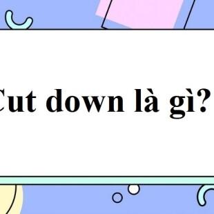 Cut down là gì? Cách sử dụng Cut down trong Tiếng Anh