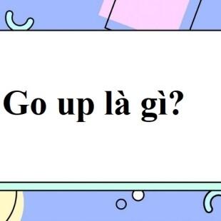 Go up là gì? Cách sử dụng Go up trong Tiếng Anh