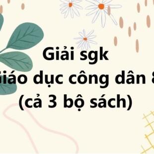 Giải sgk Giáo dục công dân 8 (cả 3 bộ sách) | Giải bài tập GDCD 8 (hay ...
