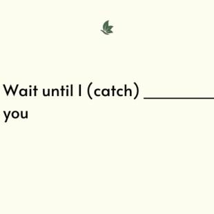 Wait until I (catch) ______ you