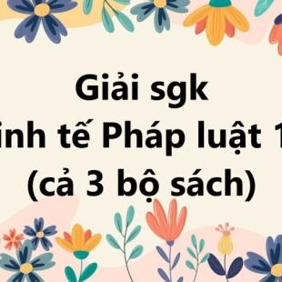 Giải sgk Kinh tế Pháp luật 11 (cả 3 bộ sách) | Giải bài tập KTPL 11 ...