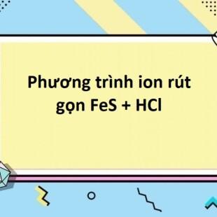 Giải thuật phản ứng fes + hcl ion rút gọn đơn giản nhất 2023