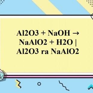 Al2O3 + NaOH → NaAlO2 + H2O | Al2O3 ra NaAlO2