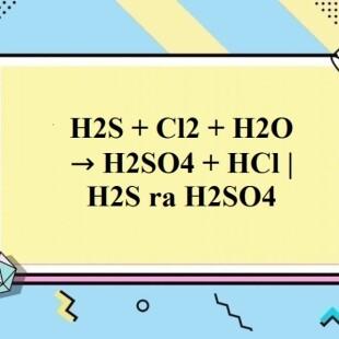 Cách phân tích chất lý tưởng với cl2 h2s h2o hiệu quả nhất 2023