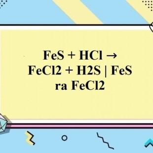 FeS + HCl → FeCl2 + H2S | FeS ra FeCl2