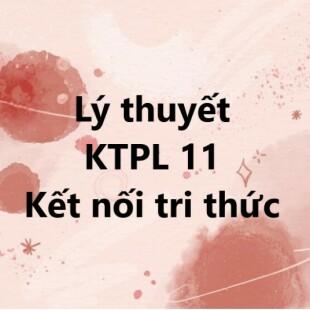 Lý thuyết KTPL 11 Kết nối tri thức | Tổng hợp kiến thức KTPL 11 Kết nối tri thức | Lý thuyết ...
