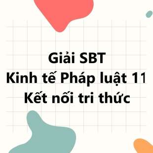 Giải SBT Kinh tế Pháp luật 11 Kết nối tri thức | Sách bài tập KTPL 11 Kết nối tri thức | Sách ...