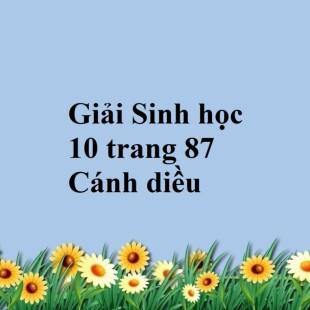 Giải Sinh học 10 trang 87 Cánh diều