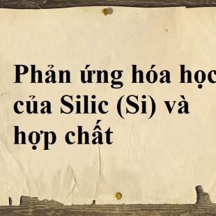 SiO2 + Na2CO3 → Na2SiO3 + CO2 ↑ | SiO2 ra Na2SiO3