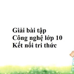 Thế nào là đất chua, đất mặn và đất xám bạc màu