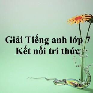 Unit 10 Project lớp 7 trang 113 | Tiếng Anh 7 Global Success