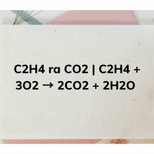 C2H4 ra CO2 | C2H4 + 3O2 → 2CO2 + 2H2O