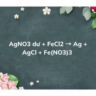 AgNO3 dư + FeCl2 → Ag + AgCl + Fe(NO3)3 | AgNO3 ra AgCl | FeCl2 ra Fe(NO3)3