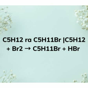 C5H12 ra C5H11Br | C5H12 + Br2 → C5H11Br + HBr