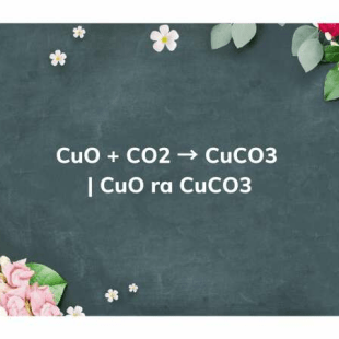 CuO + CO2 → CuCO3 | CuO ra CuCO3