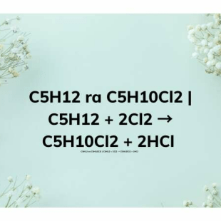 C5H12 ra C5H10Cl2 | C5H12 + 2Cl2 → C5H10Cl2 + 2HCl