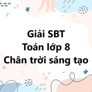 Sách bài tập Toán 8 (Chân trời sáng tạo) Bài tập cuối chương 1 trang 26