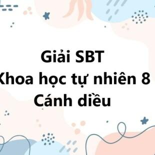 Sách bài tập KHTN 8 Bài 2 (Cánh diều): Phản ứng hóa học và năng lượng ...