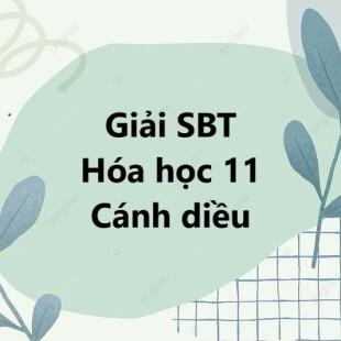 CFC (chlorofluorocarbon) là kí hiệu chung chỉ nhóm các hợp chất hữu cơ ...