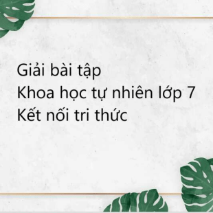 Giải sgk Khoa học tự nhiên 7 Kết nối tri thức | Giải KHTN lớp 7 | Giải ...