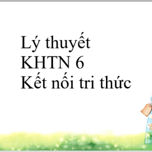 Lý thuyết KHTN 6 Kết nối tri thức | Tổng hợp kiến thức KHTN 6 Kết nối ...