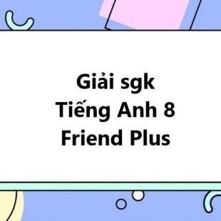 Unit 6 Vocabulary lớp 8 trang 58, 59 | Tiếng Anh 8 Friend Plus