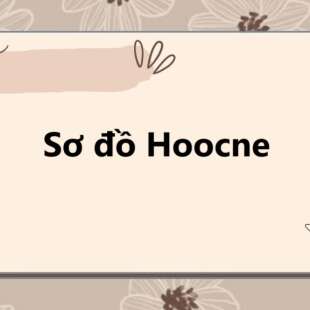 Sơ đồ Hoocne: Cách sử dụng lược đồ Hoocne và bài tập vận dụng
