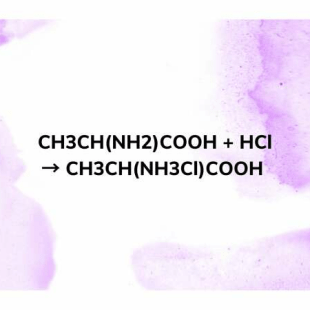CH3CH(NH2)COOH ra CH3CH(NH3Cl)COOH | CH3CH(NH2)COOH + HCl → CH3CH(NH3Cl ...