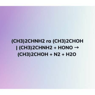 (CH3)2CHNH2 ra (CH3)2CHOH | (CH3)2CHNH2 + HONO → (CH3)2CHOH + N2 + H2O