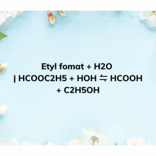 HCOOC2H5 ra HCOOH | HCOOC2H5 ra C2H5OH | Etyl fomat + H2O | HCOOC2H5 ...