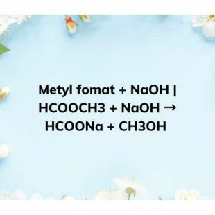 HCOOCH3 ra HCOONa | HCOOCH3 ra CH3OH | Metyl fomat + NaOH | HCOOCH3 ...