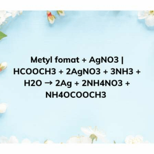 HCOOCH3 ra Ag | AgNO3 ra Ag | HCOOCH3 ra NH4OCOOCH3 | Metyl fomat ...