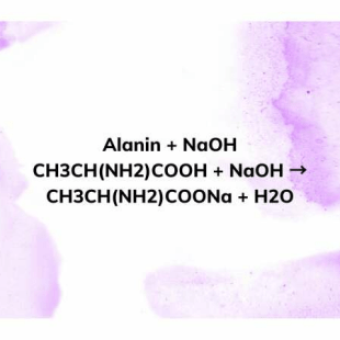 CH3CH(NH2)COOH ra CH3CH(NH2)COONa | CH3CH(NH2)COOH + NaOH → CH3CH(NH2 ...