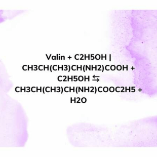 CH3CH(CH3)CH(NH2)COOH ra CH3CH(CH3)CH(NH2)COOC2H5 | CH3CH(CH3)CH(NH2 ...