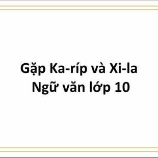 Văn bản Gặp Ka-ríp và Xi-la - Hô-me-rơ - Nội dung, tác giả, tác phẩm